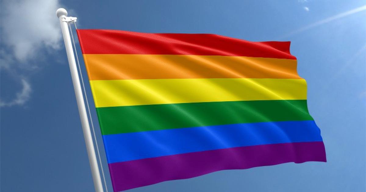 DUP 'call-in' decision over council Pride flag - Photo 1 of 2 - Alpha ...