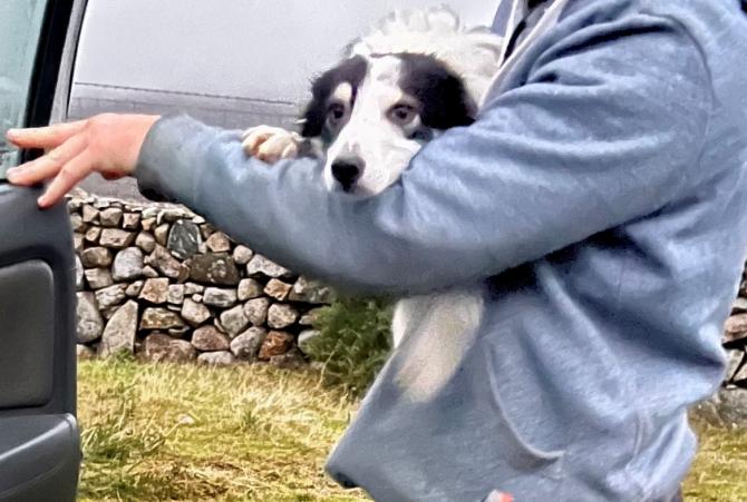 Family's relief as they find Nell after four days in the moutains ...