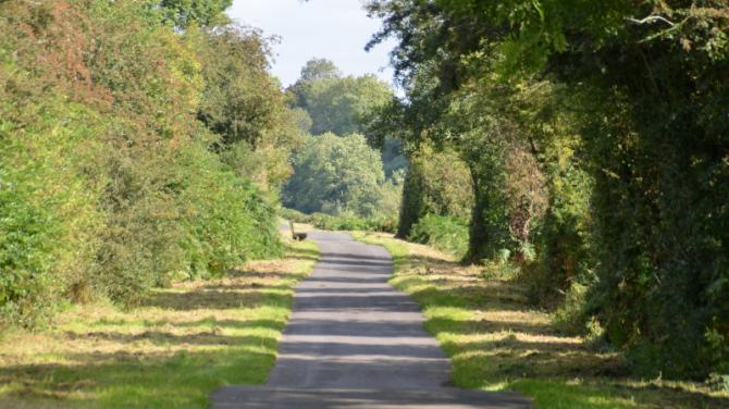 Condemnation at a lack of defibrillators on popular tow path - Photo 1 ...